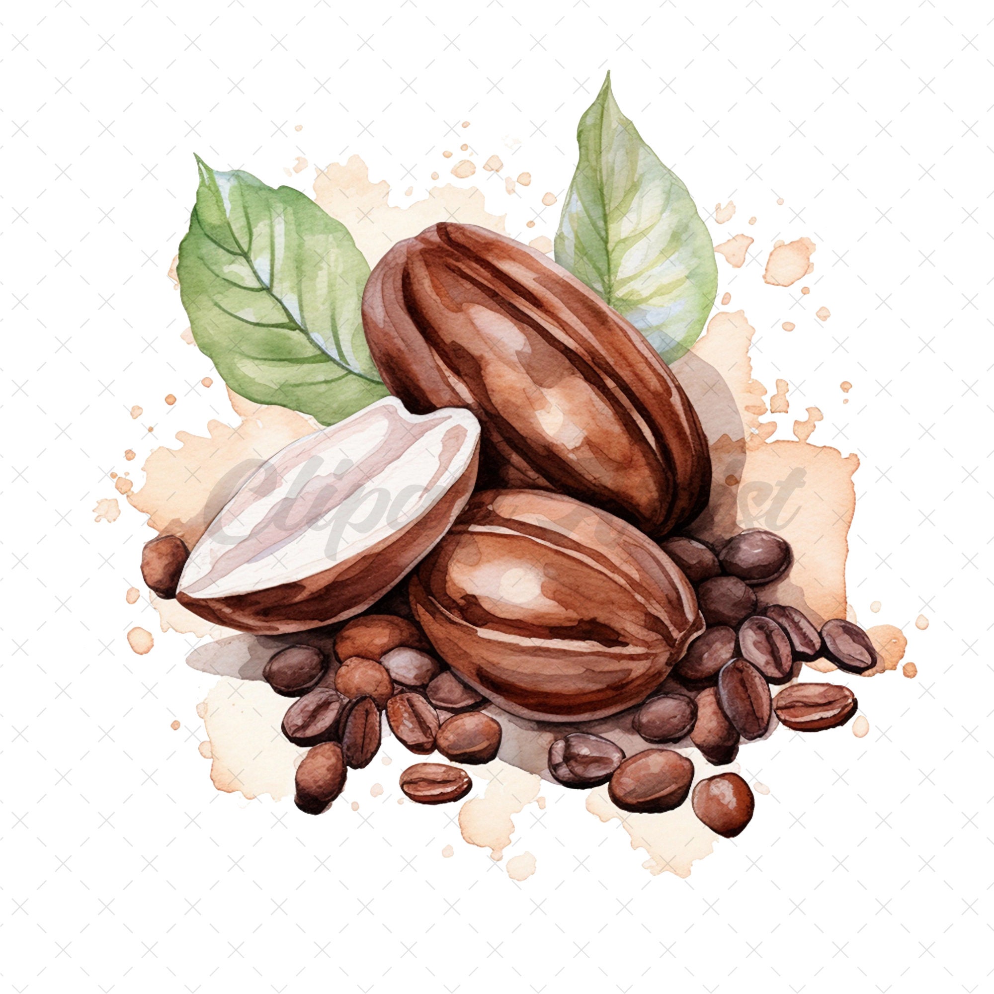 20 High-quality Sacred Cacao Clipart Sacred Cacao Digital - Etsy