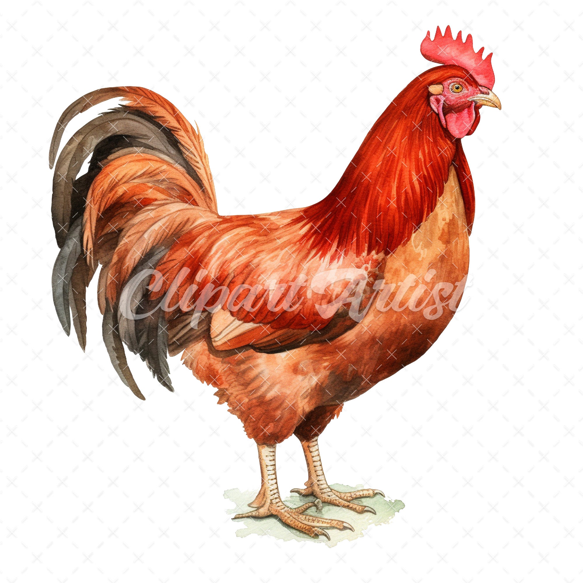 20 High-quality Hen Clipart Hen Digital Watercolor JPG Instant Download ...