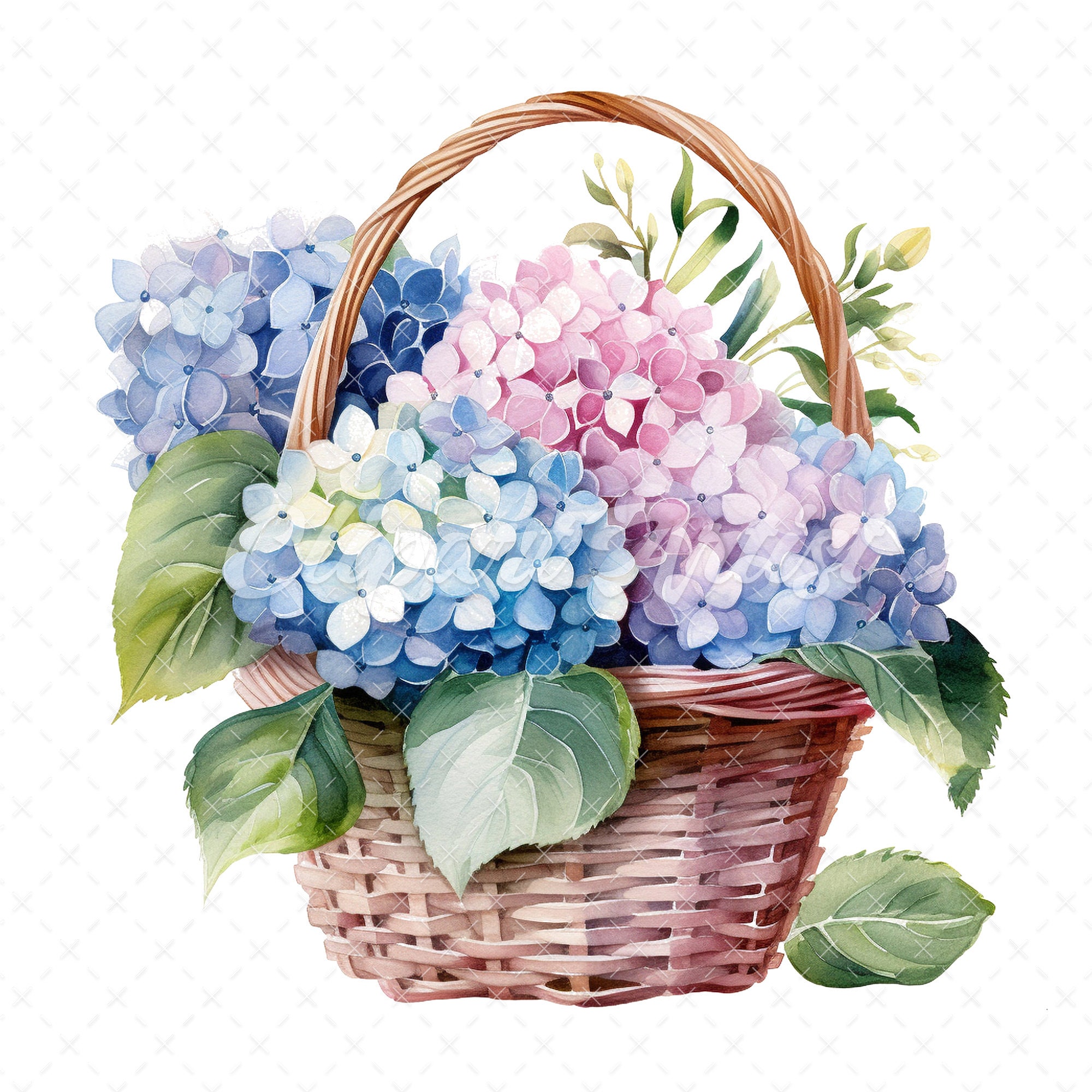 20 High-quality Hydrangea Basket Clipart Hydrangea Basket Digital ...