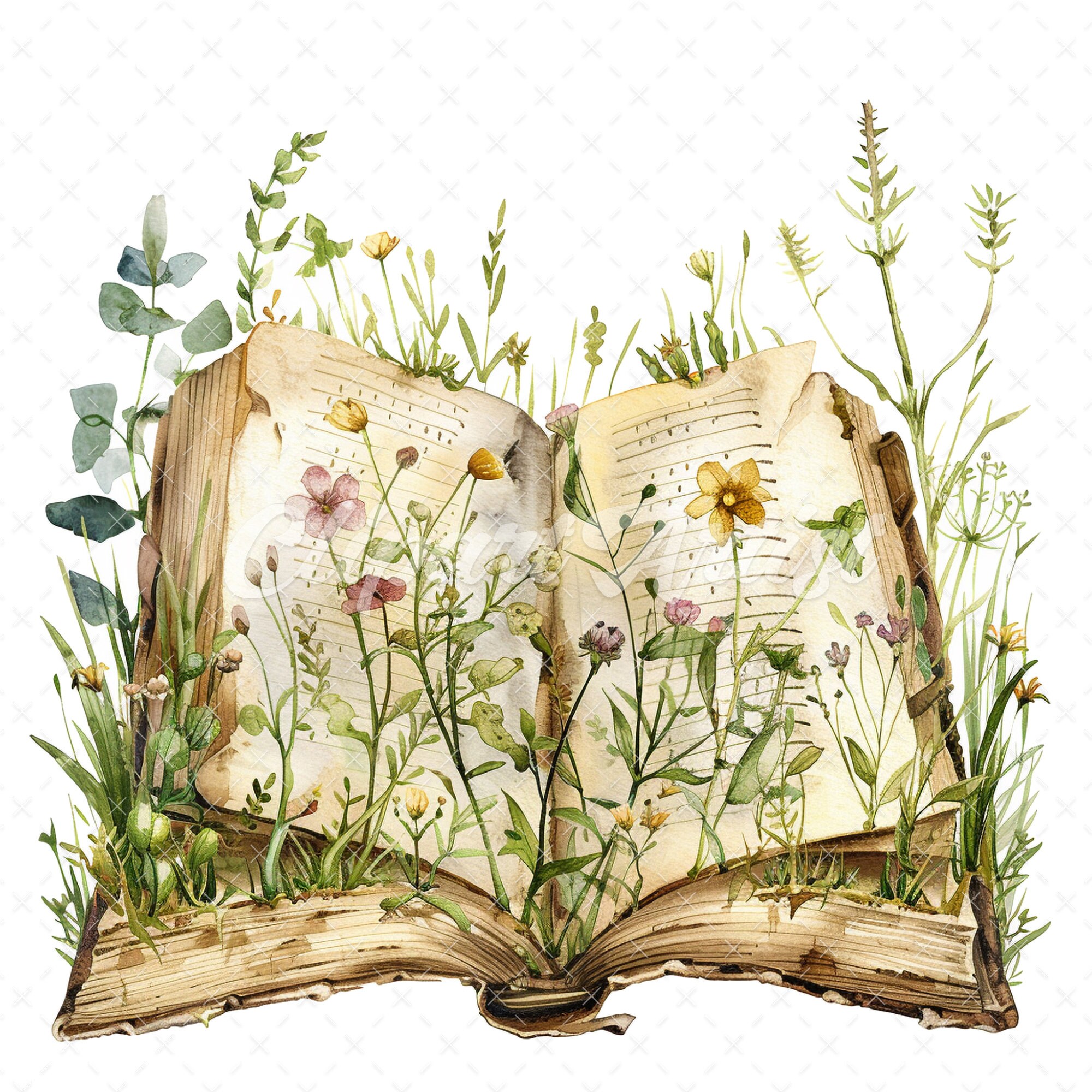20 High-quality Forgotten Book Clipart - Forgotten Book Digital ...