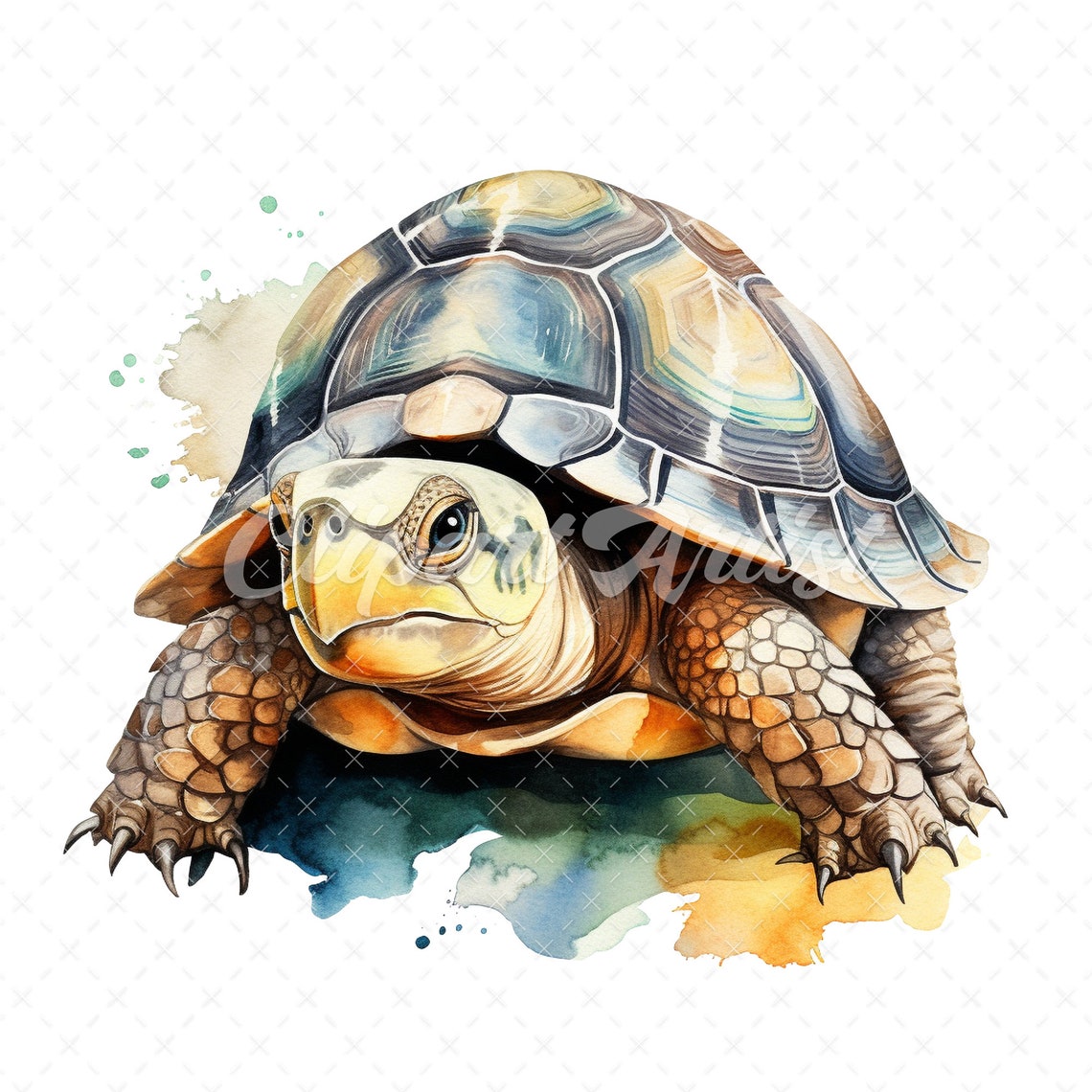 20 High-quality Cute Tortoise Clipart - Cute Tortoise Digital ...