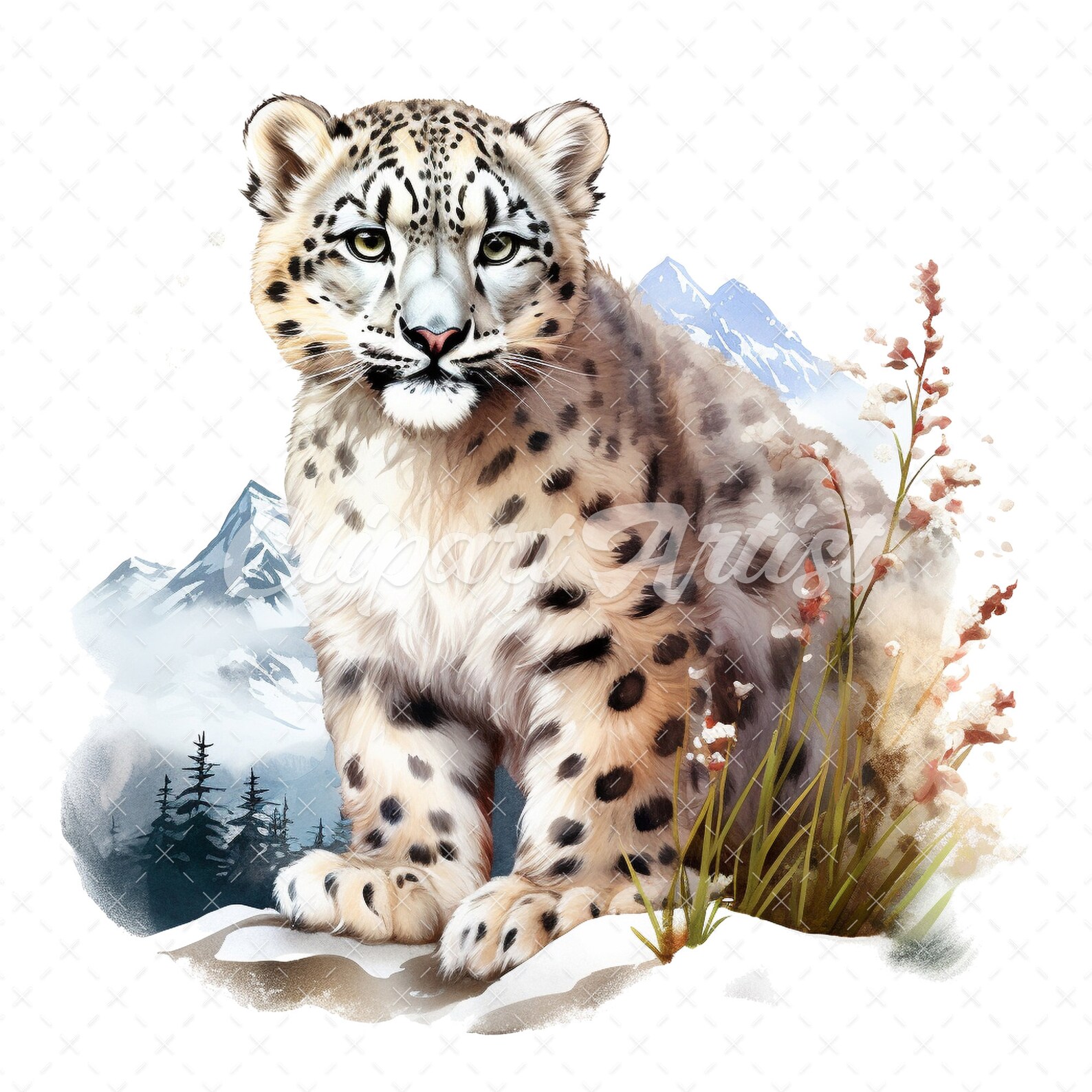 20 High-quality Cute Snow Leopard Clipart Cute Snow Leopard - Etsy