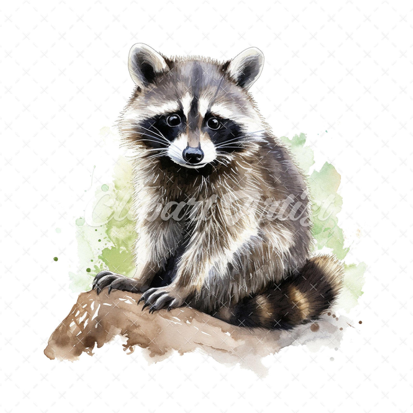 20 High-quality Raccoon Clipart Raccoon Digital Watercolor JPG Instant ...