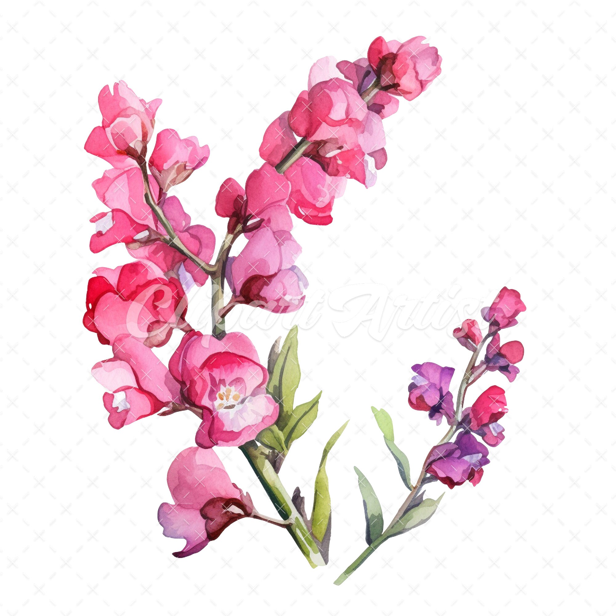 20 High-quality Snapdragon Clipart Snapdragon Flowers Digital ...