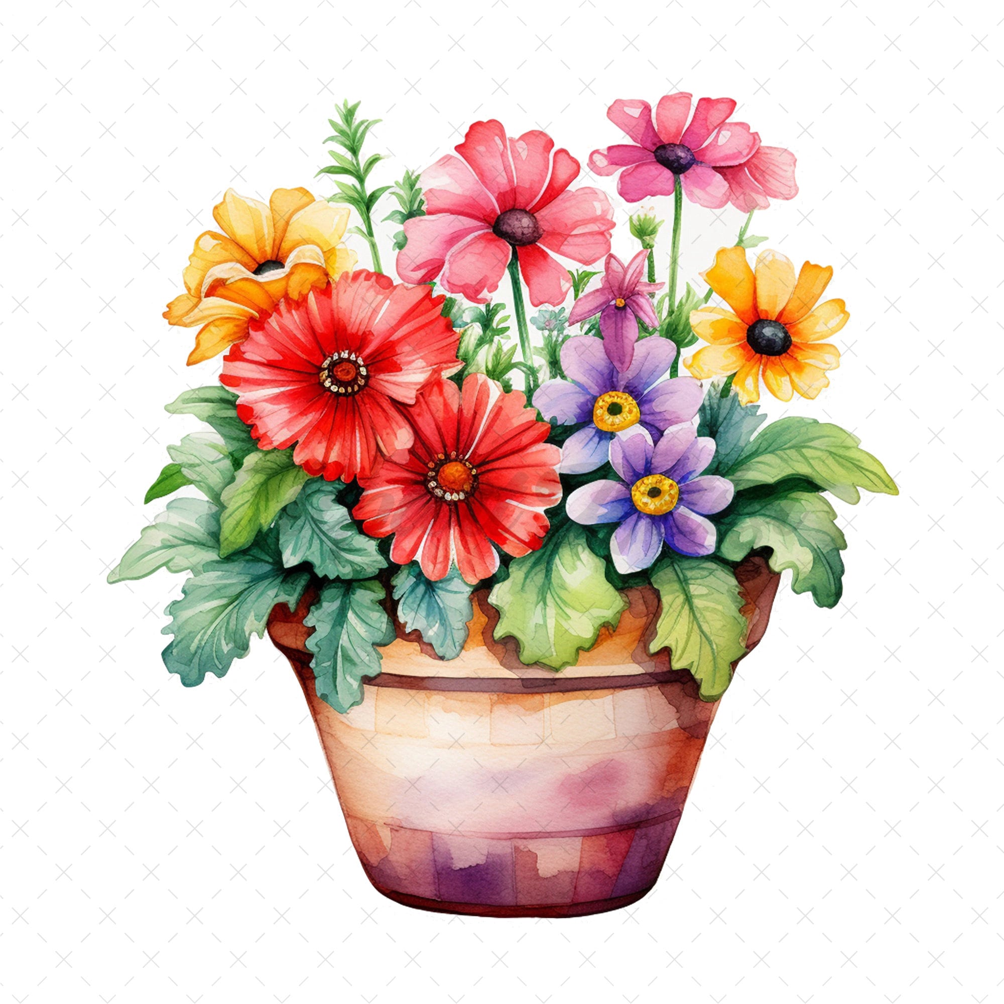20 High-quality Colorful Flower Pots Clipart Colorful Flower Watercolor ...