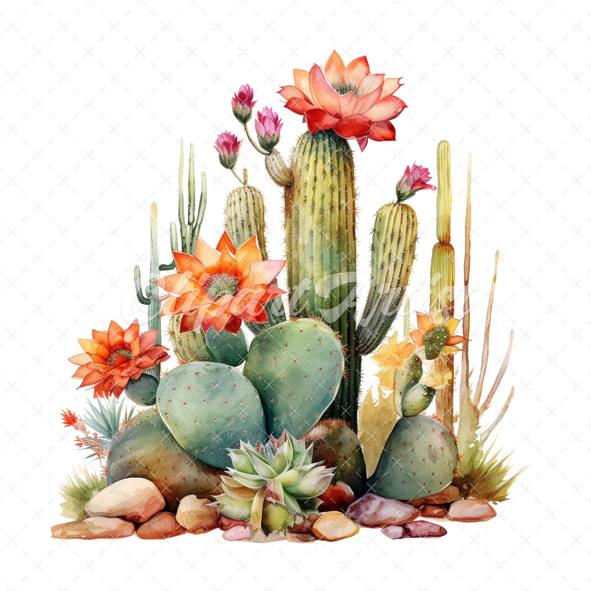 20 High-quality Desert Cacti Clipart Desert Cacti Digital - Etsy