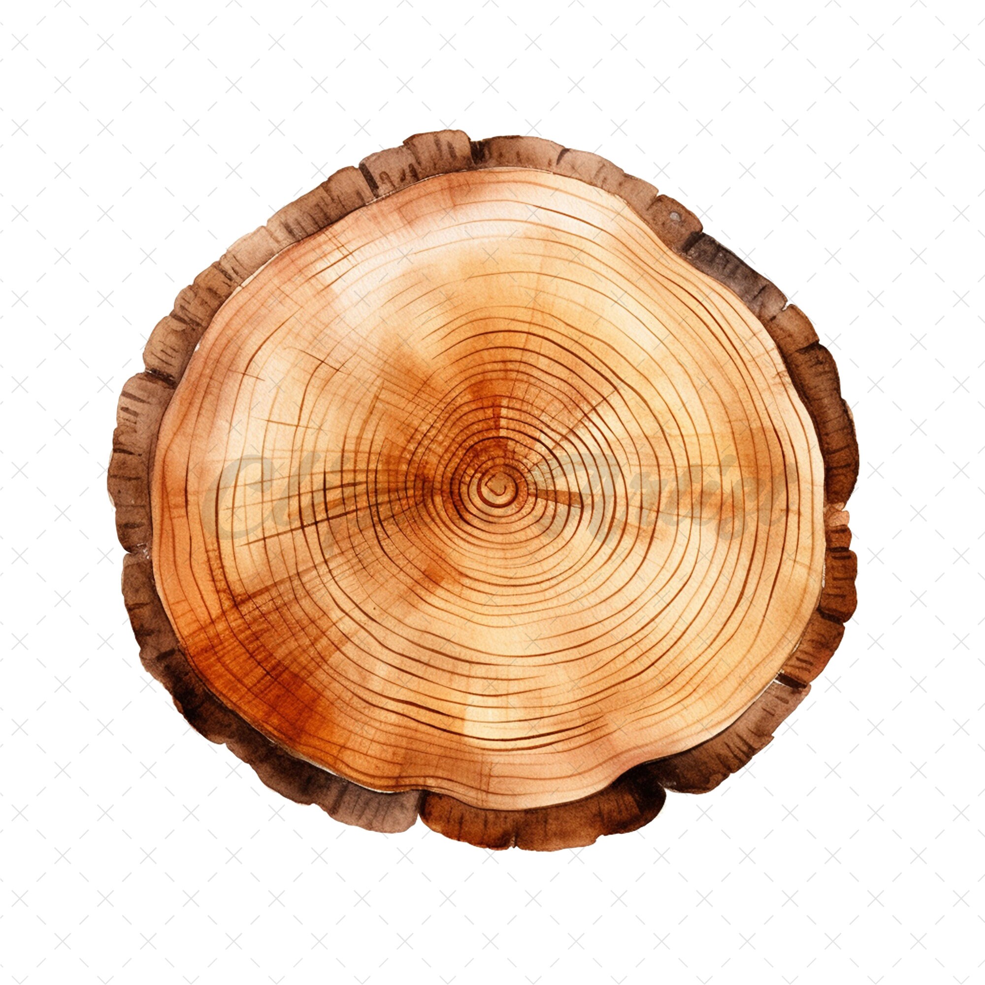 20 High-quality Wooden Slices Clipart Wooden Slices Digital JPG Instant ...