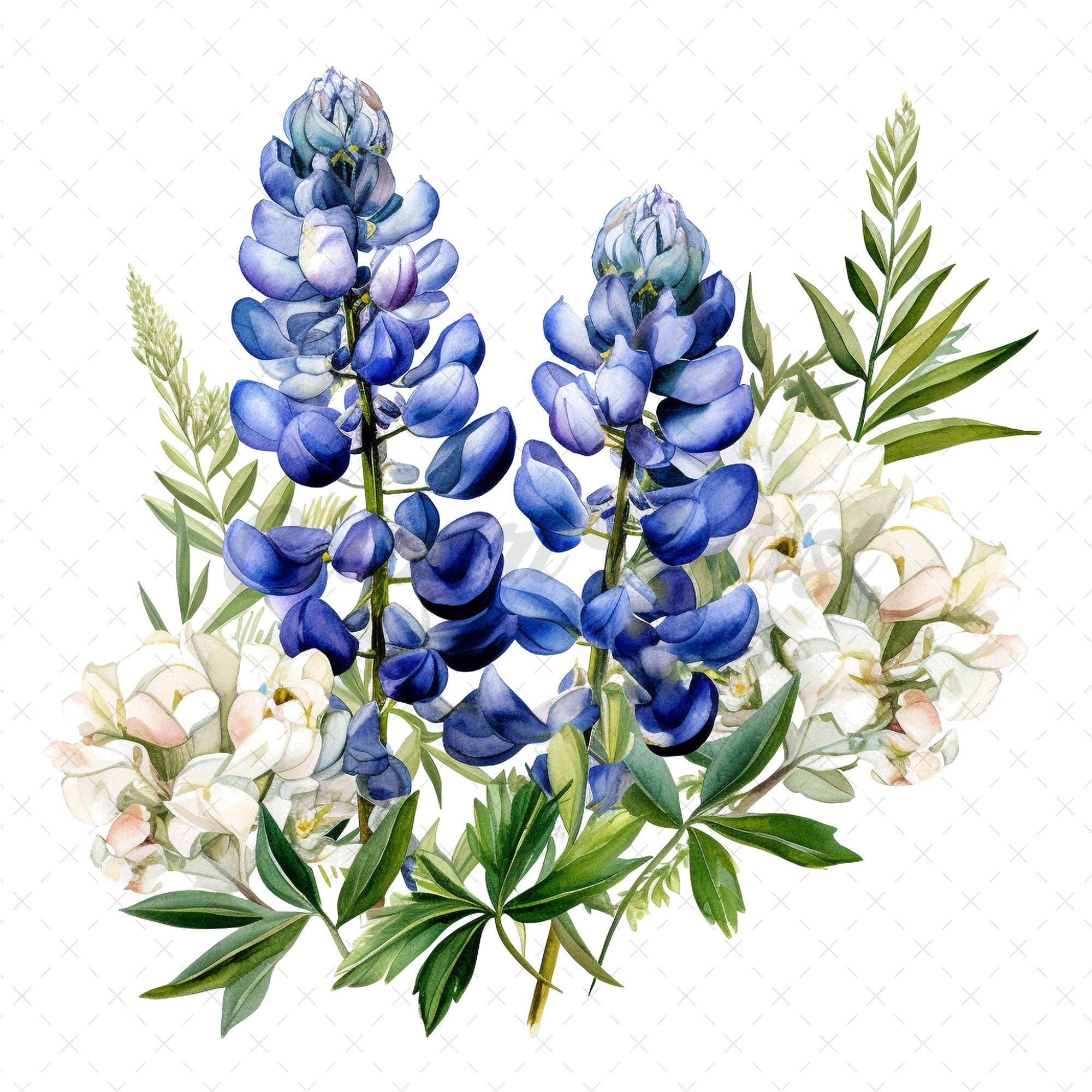 17 High-quality Floral Bluebonnet Clipart Bluebonnet Digital Watercolor ...