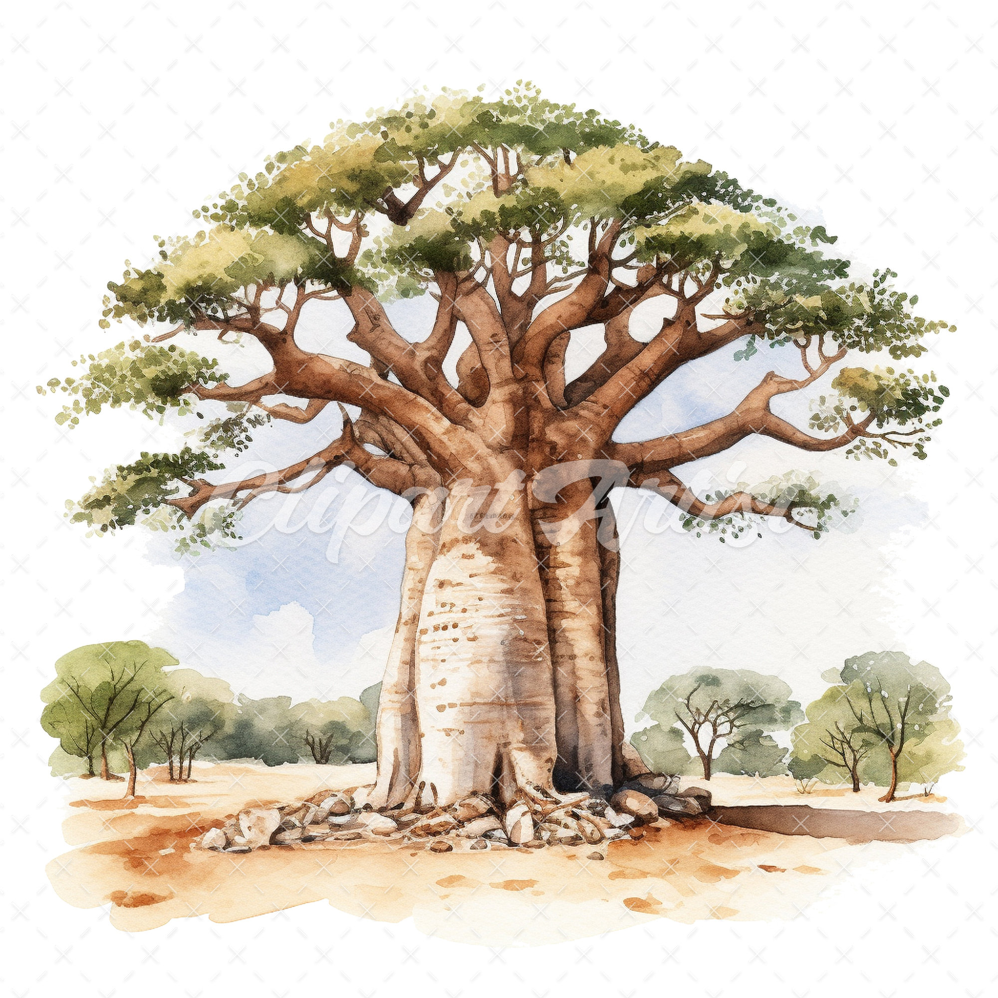 20 High-quality Baobab Tree Clipart Baobab Tree Digital - Etsy