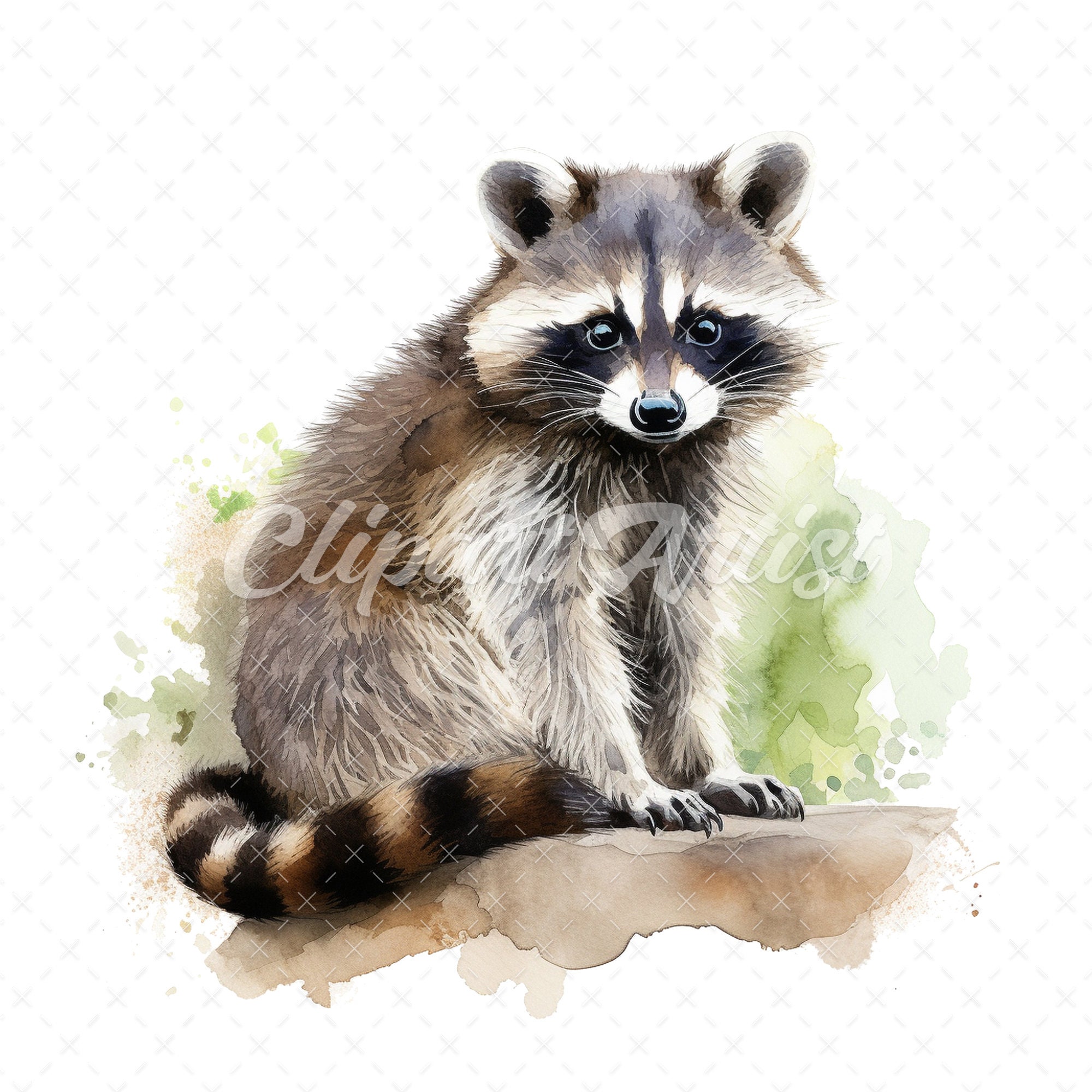 20 High-quality Raccoon Clipart Raccoon Digital Watercolor JPG Instant ...