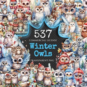Winter Owls Watercolor Clipart Bundle - 532+ Transparent PNG, Festive ...