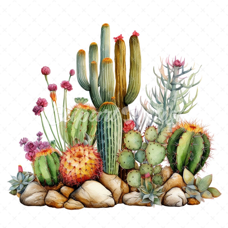 20 High-quality Desert Cacti Clipart Desert Cacti Digital - Etsy