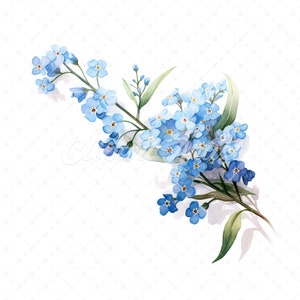 Forget Me Not Clipart – Watercolor Floral Design (digital Download) - Etsy