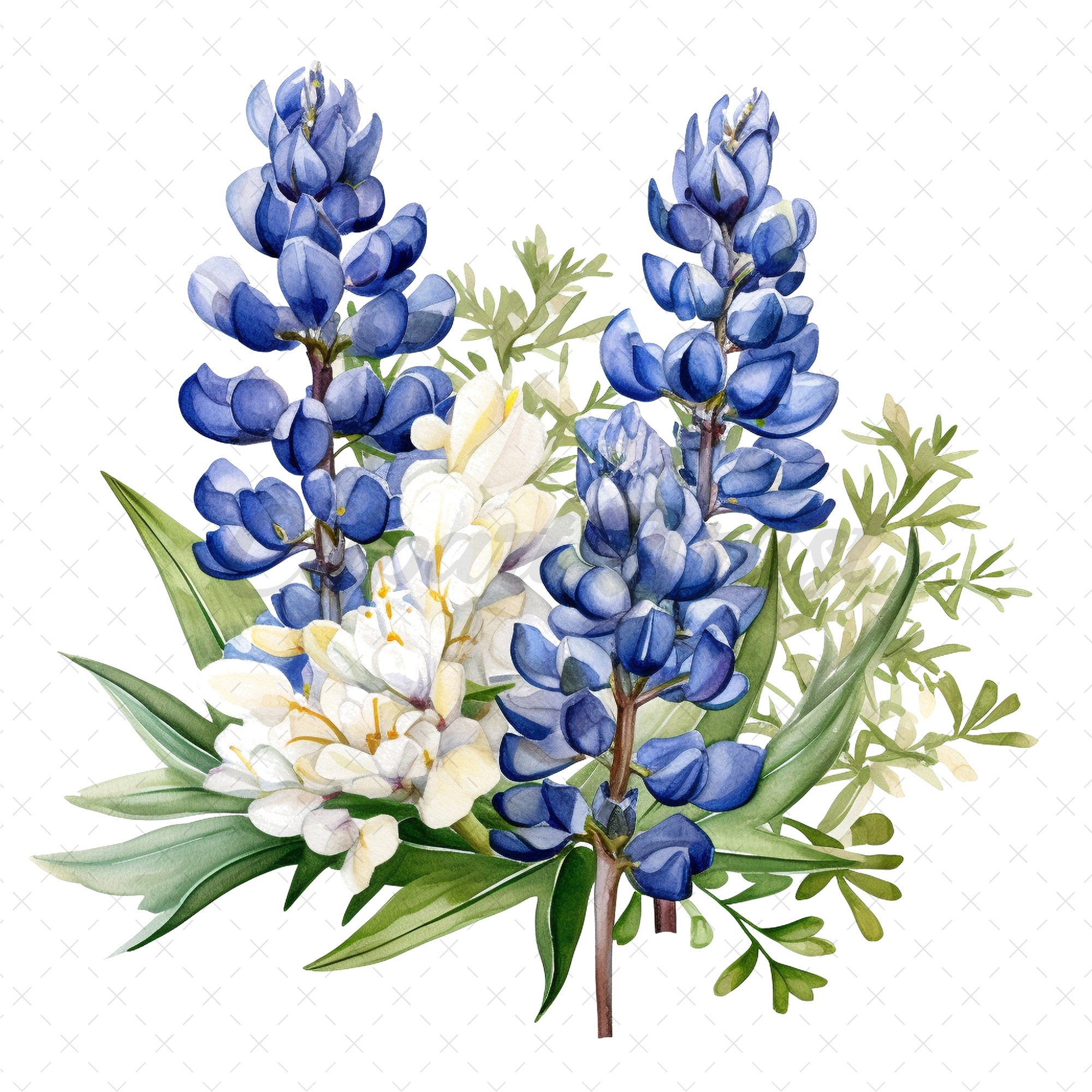 17 High-quality Floral Bluebonnet Clipart Bluebonnet Digital Watercolor ...