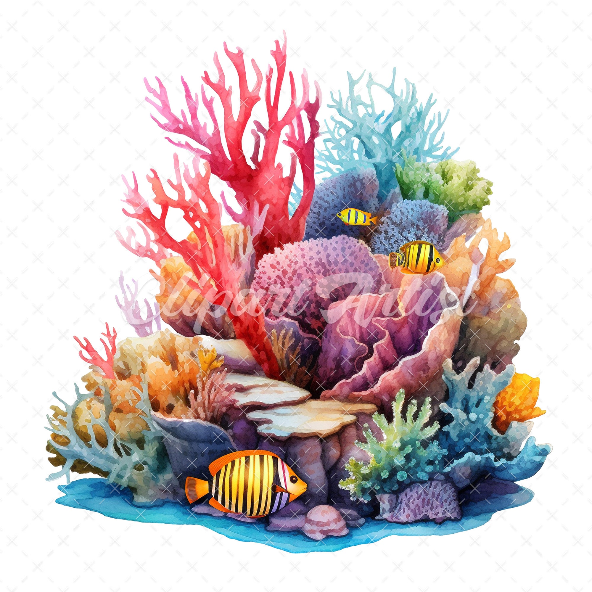 19 High-quality Reef Clipart Reef Digital Watercolor JPG - Etsy