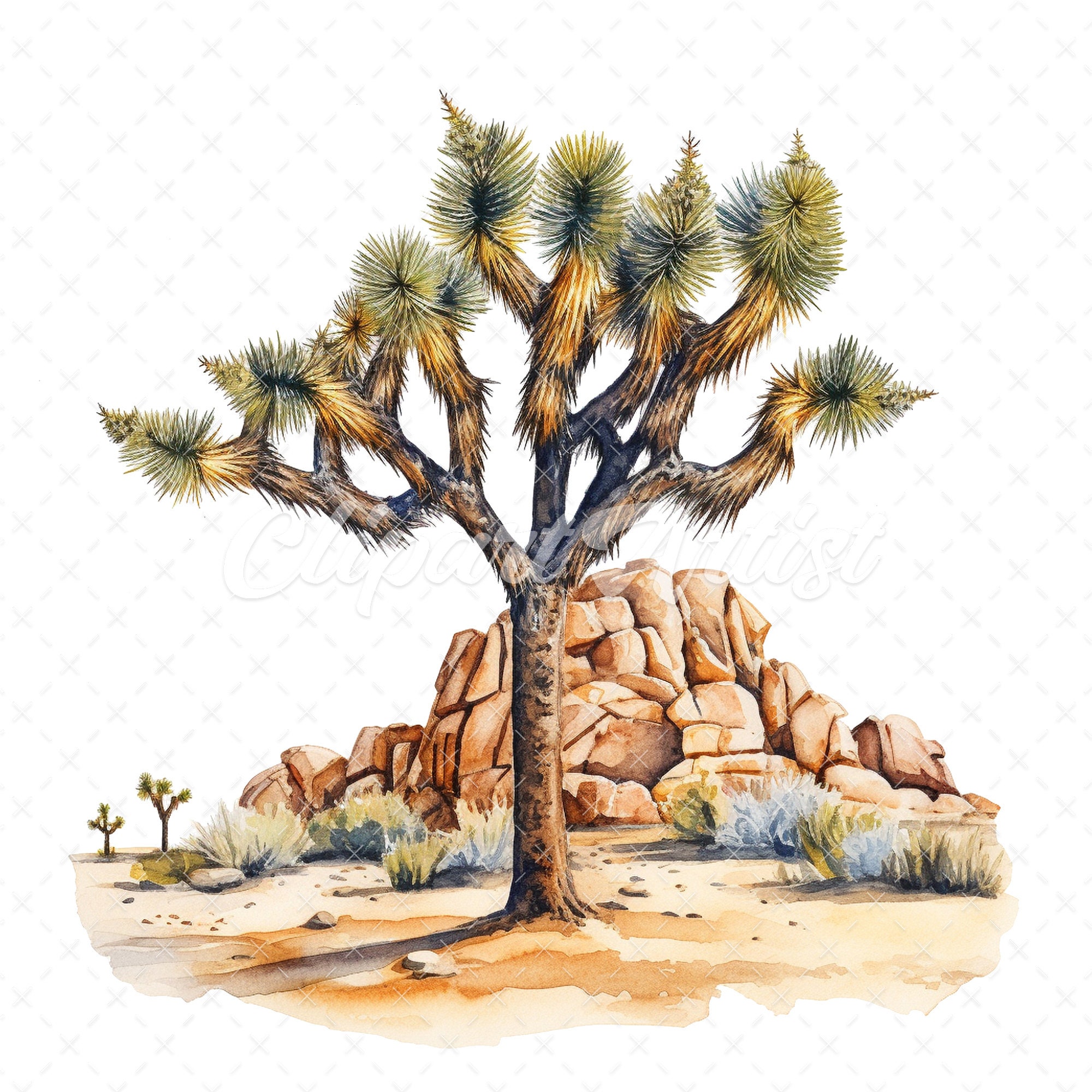 20 High-quality Joshua Trees Clipart Joshua Trees Digital Watercolor ...