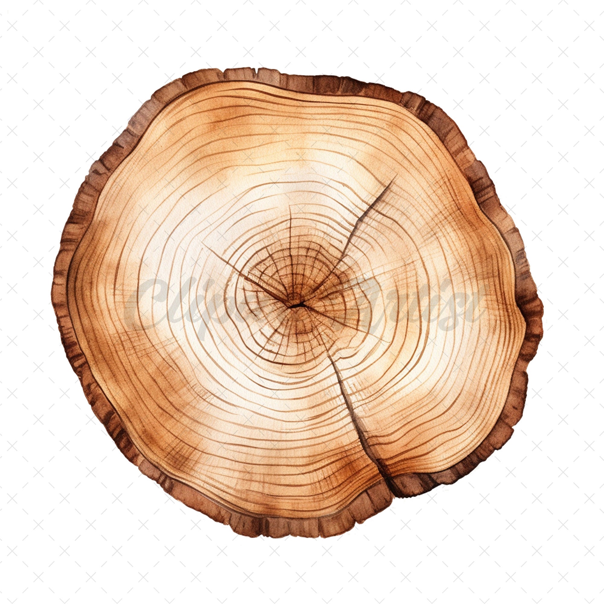 20 High-quality Wooden Slices Clipart Wooden Slices Digital JPG Instant ...