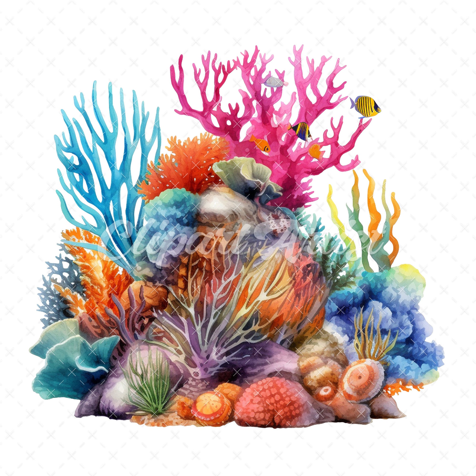 19 High-quality Reef Clipart Reef Digital Watercolor JPG - Etsy