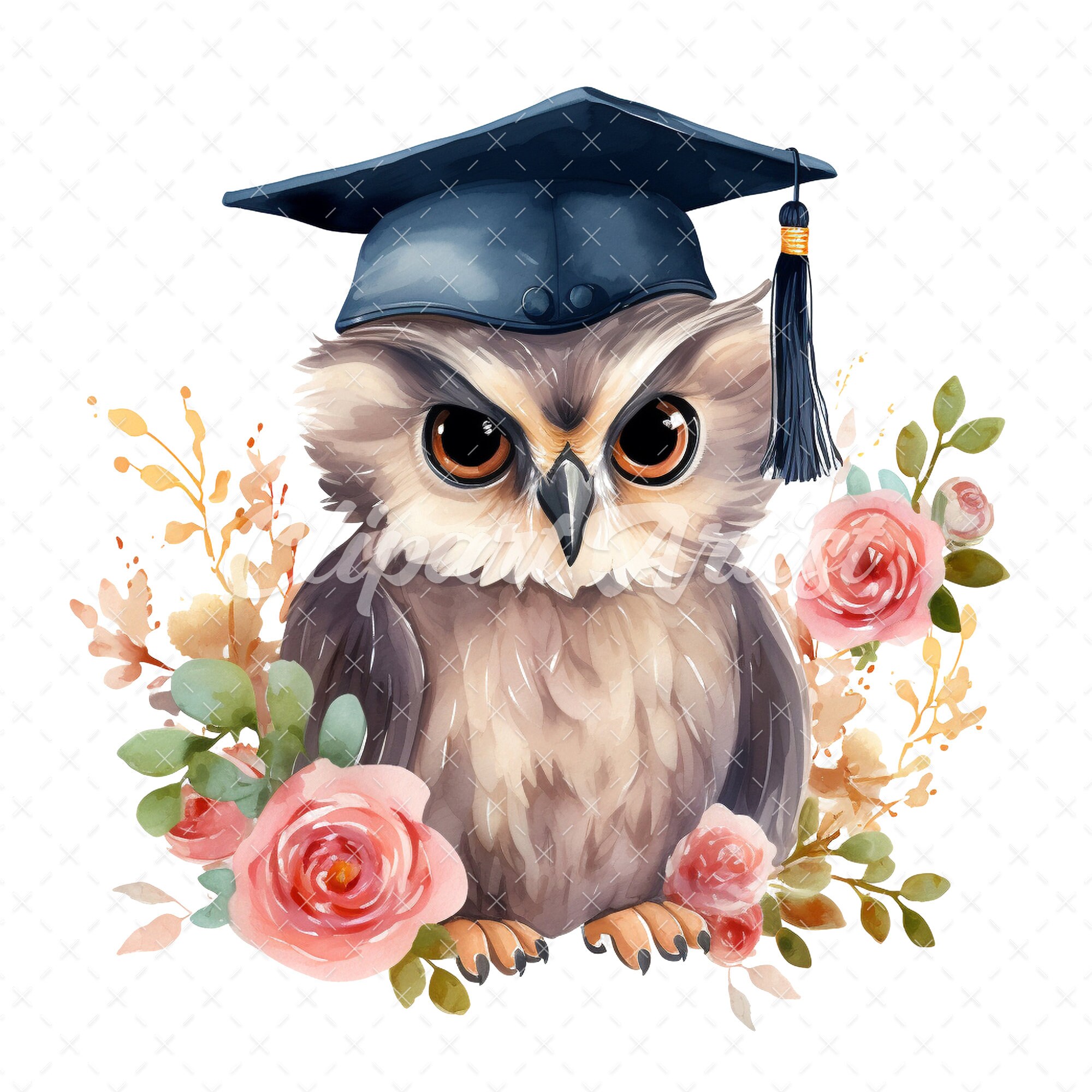 19 High-quality Graduation Owl Clipart Graduation Owl Digital ...