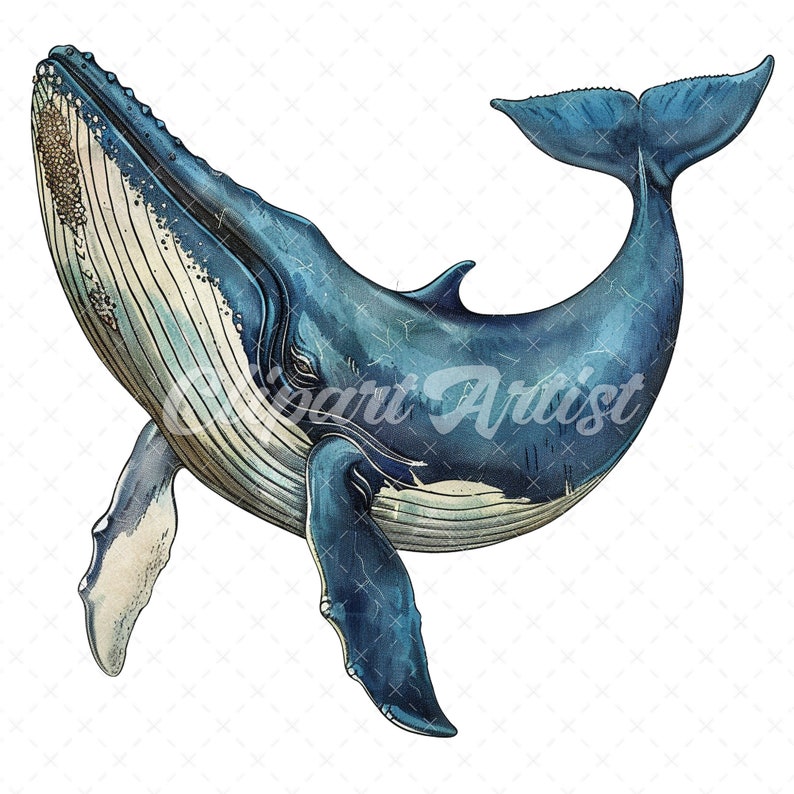 Blue Whale Watercolor Clipart – Commercial Use (Digital Download) - Etsy 日本