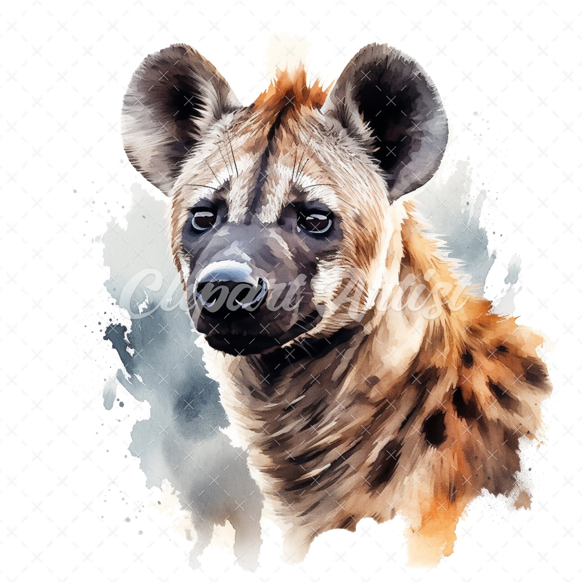 20 High-quality Hyena Clipart - Hyena Digital Watercolor JPG Instant ...