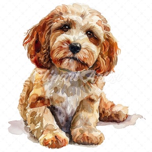20 High-quality Cockapoo Portrait Clipart Cockapoo Portrait Digital ...