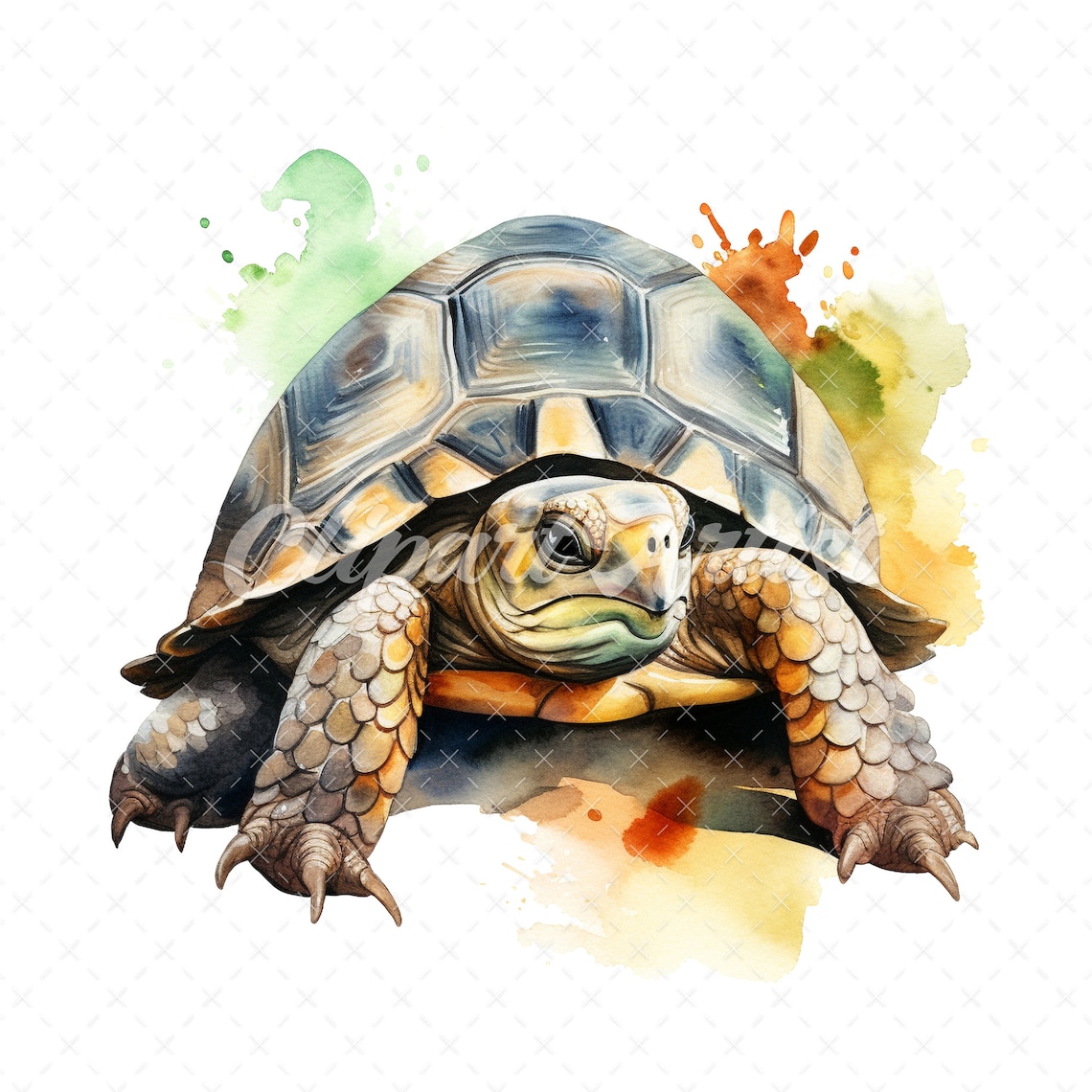 20 High-quality Cute Tortoise Clipart - Cute Tortoise Digital ...