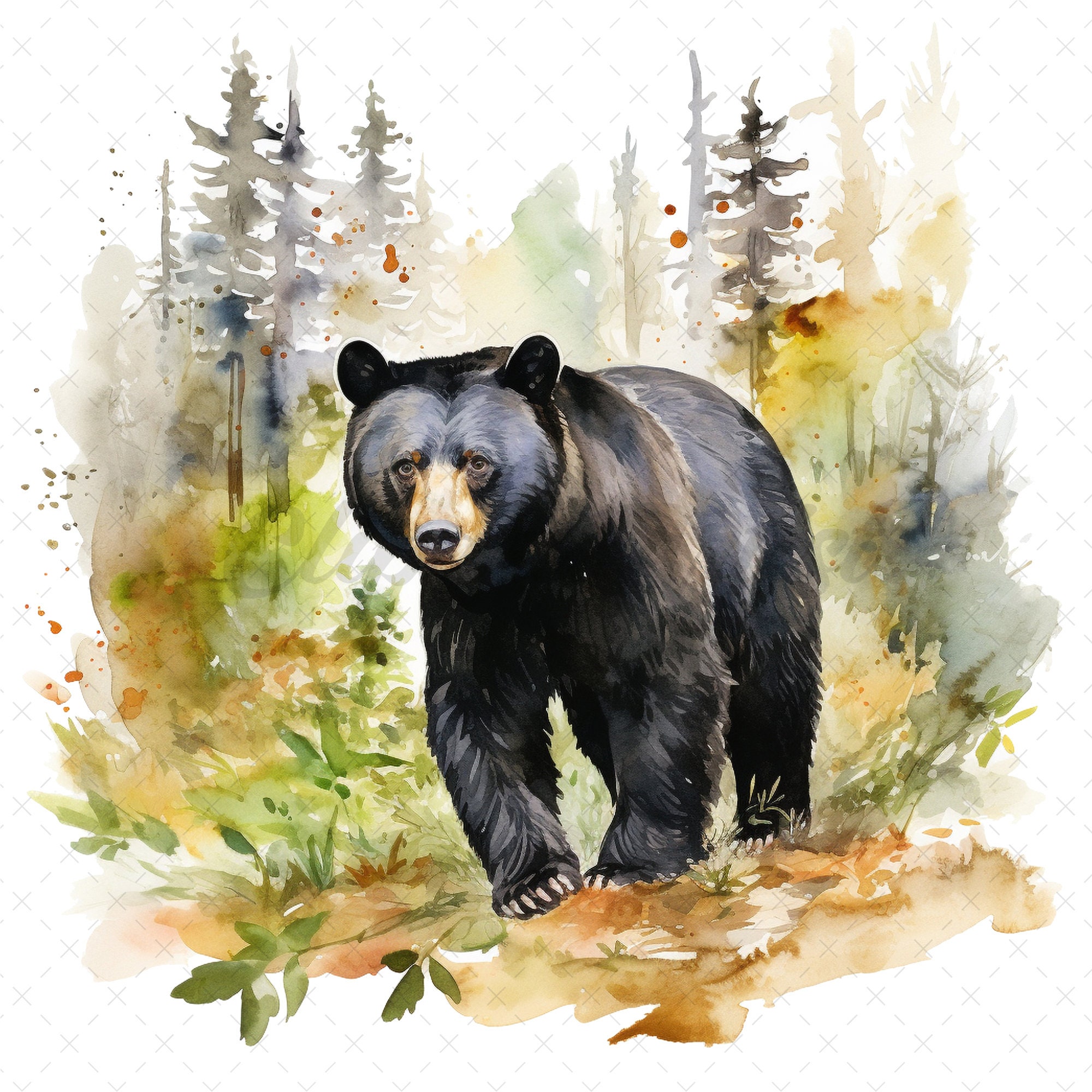 19 High-quality Black Bear Clipart Black Bear Digital - Etsy