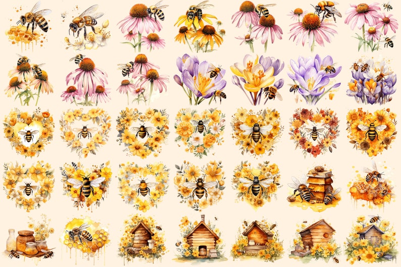 Honey Bee Watercolor Clipart Bundle – Spring Garden PNG (digital ...