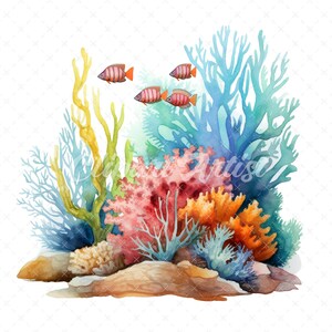 19 High-quality Reef Clipart Reef Digital Watercolor JPG Instant ...