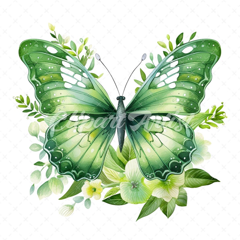 20 High-quality Green Floral Butterfly Clipart Butterfly Digital ...