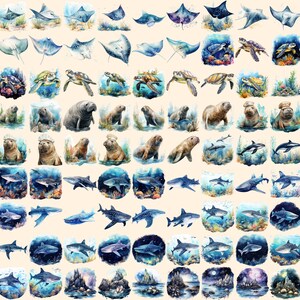 Ocean Stuff Watercolor Clipart Bundle - 800+ Transparent PNG, Ocean ...