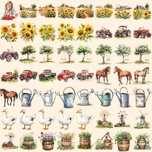 On the Farm Watercolor Clipart Bundle - 570+ Transparent PNG, Rustic ...