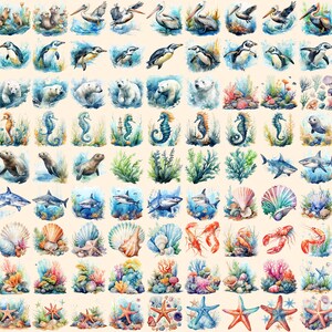 Ocean Stuff Watercolor Clipart Bundle - 800+ Transparent PNG, Ocean ...