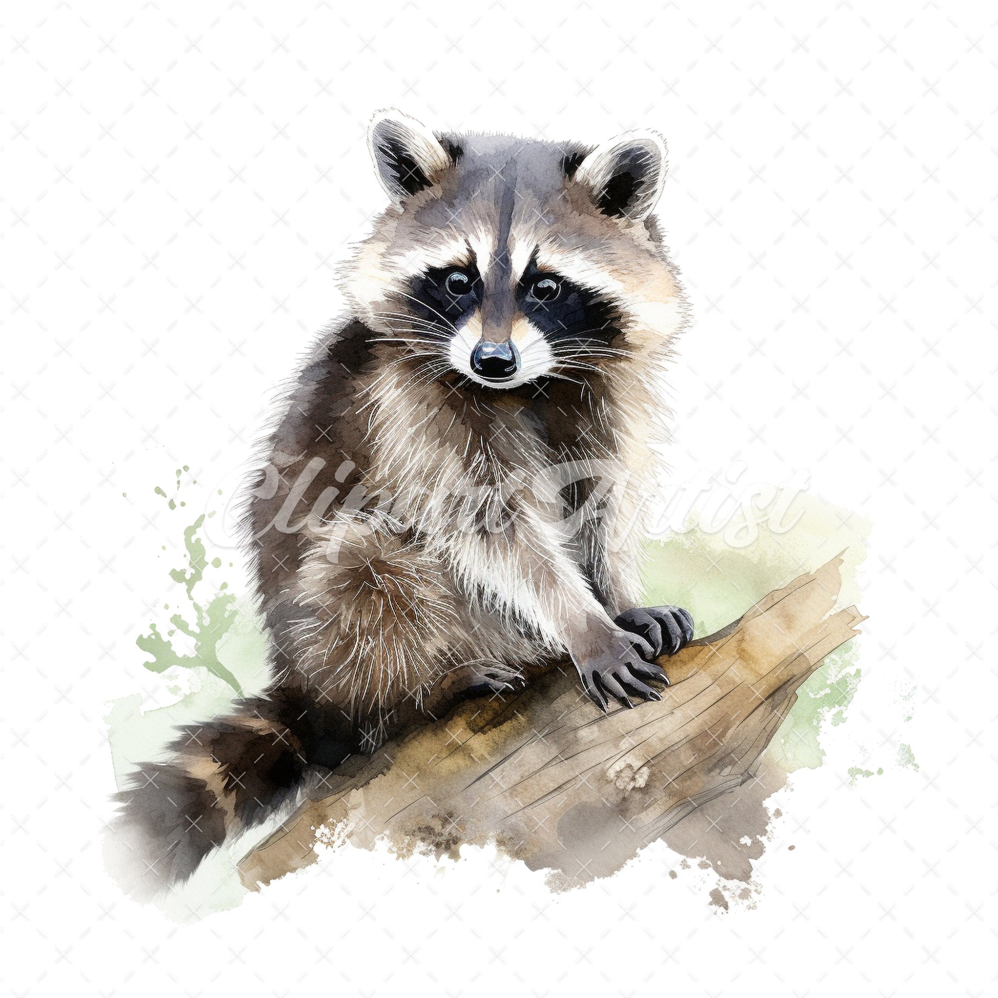 20 High-quality Raccoon Clipart Raccoon Digital Watercolor JPG Instant ...