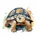 20 High-quality Cute Tortoise Clipart - Cute Tortoise Digital ...