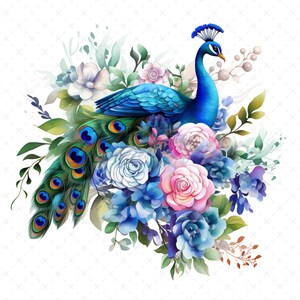 19 High-quality Peacock Bouquets Clipart - Peacock Bouquets Digital ...