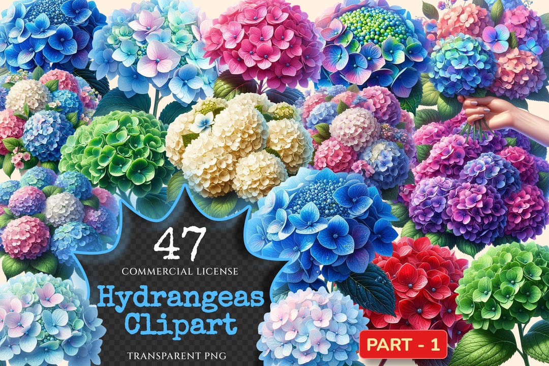 Hydrangeas PNG Clipart Collection - 47 PNG, Vibrant Hydrangea Graphics, Colorful Floral ...