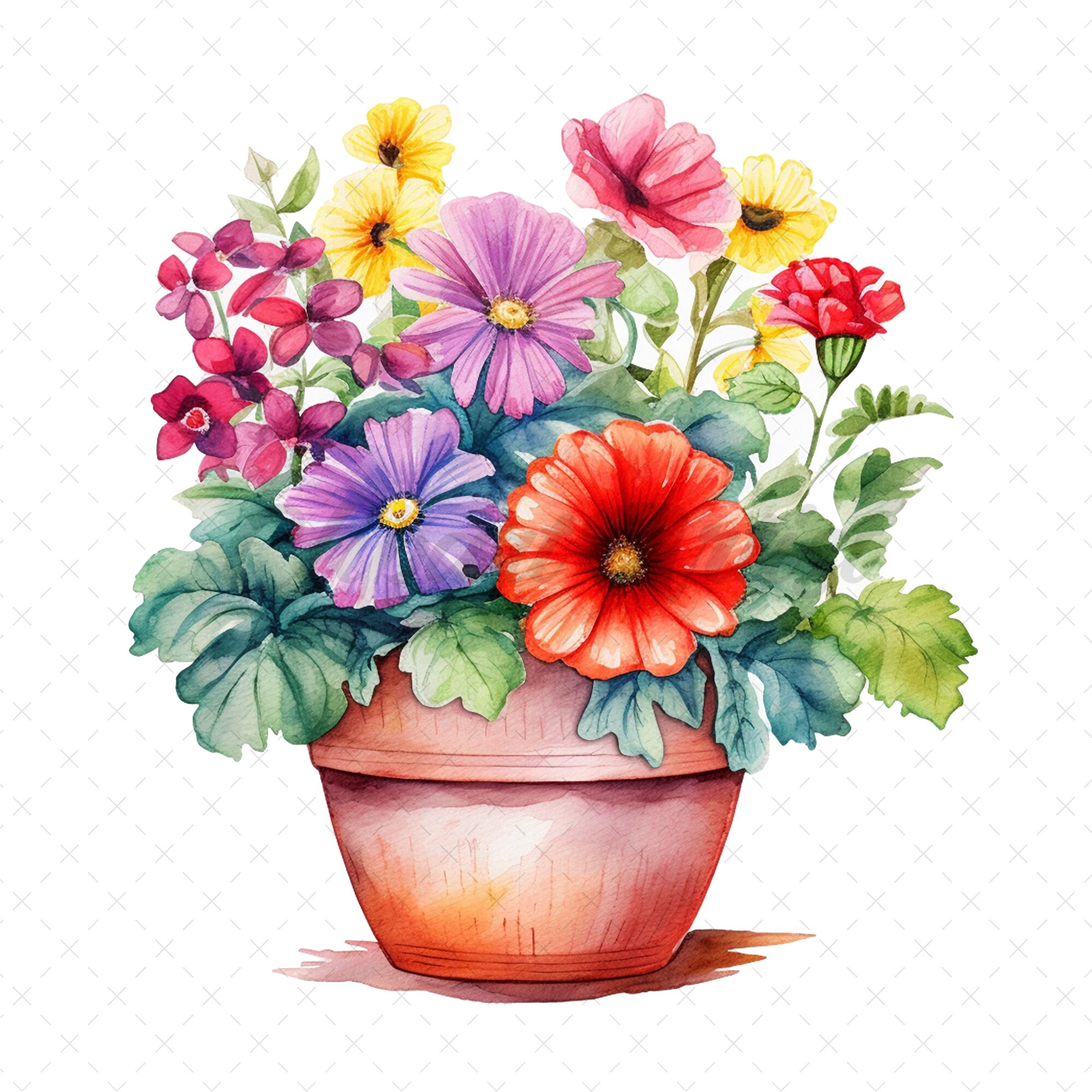20 High-quality Colorful Flower Pots Clipart Colorful Flower Watercolor ...