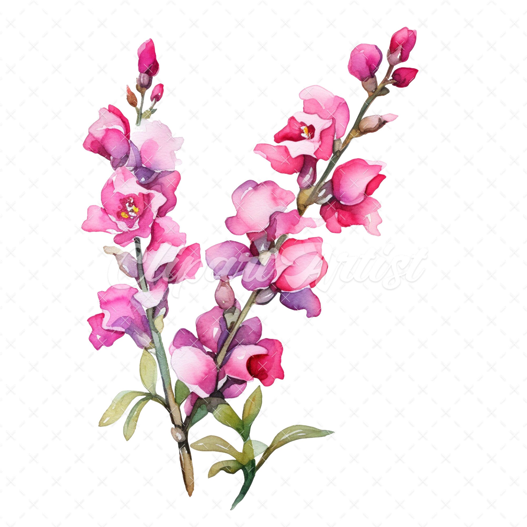 20 High-quality Snapdragon Clipart Snapdragon Flowers Digital ...