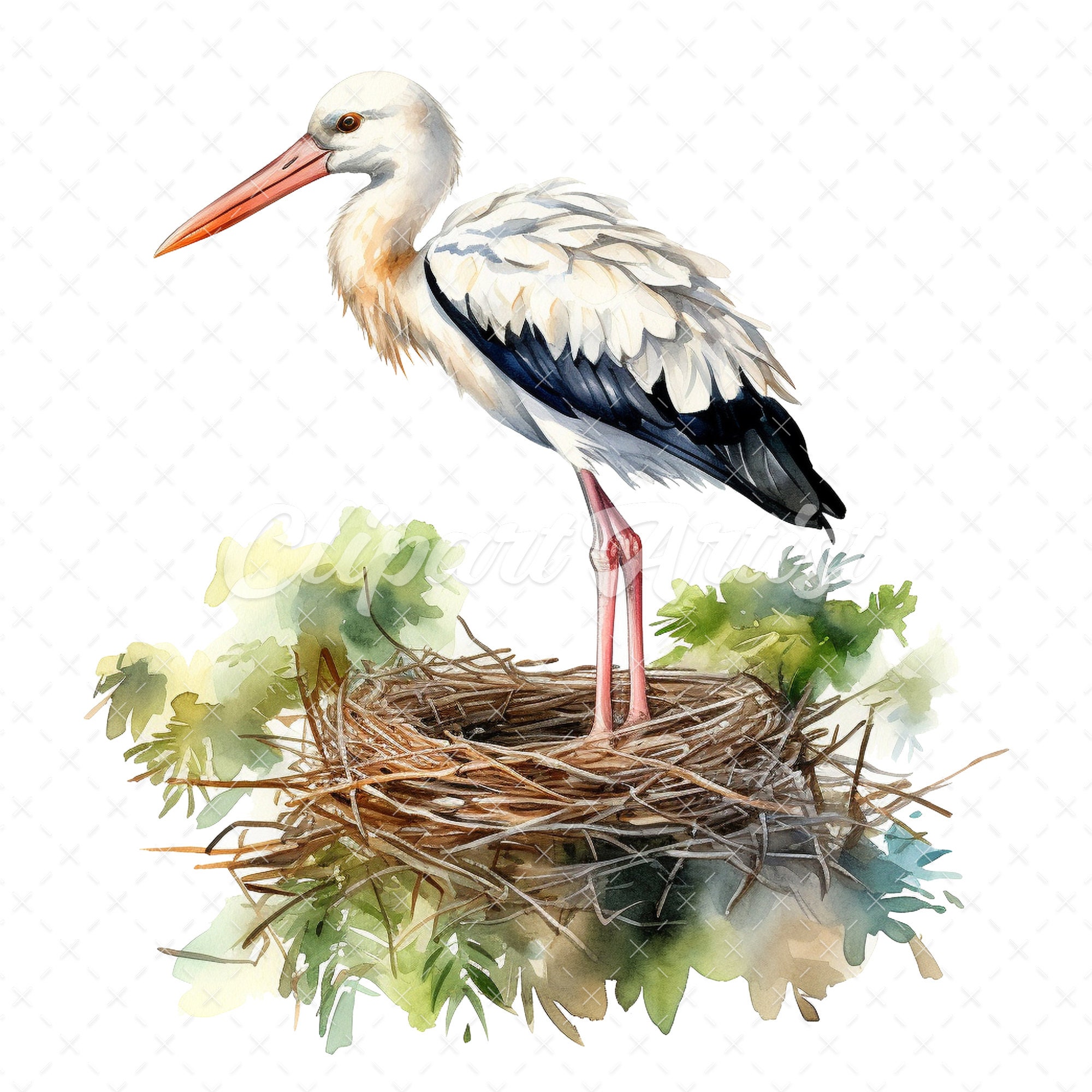 20 High-quality Stork Nest Clipart Stork Birds Digital - Etsy