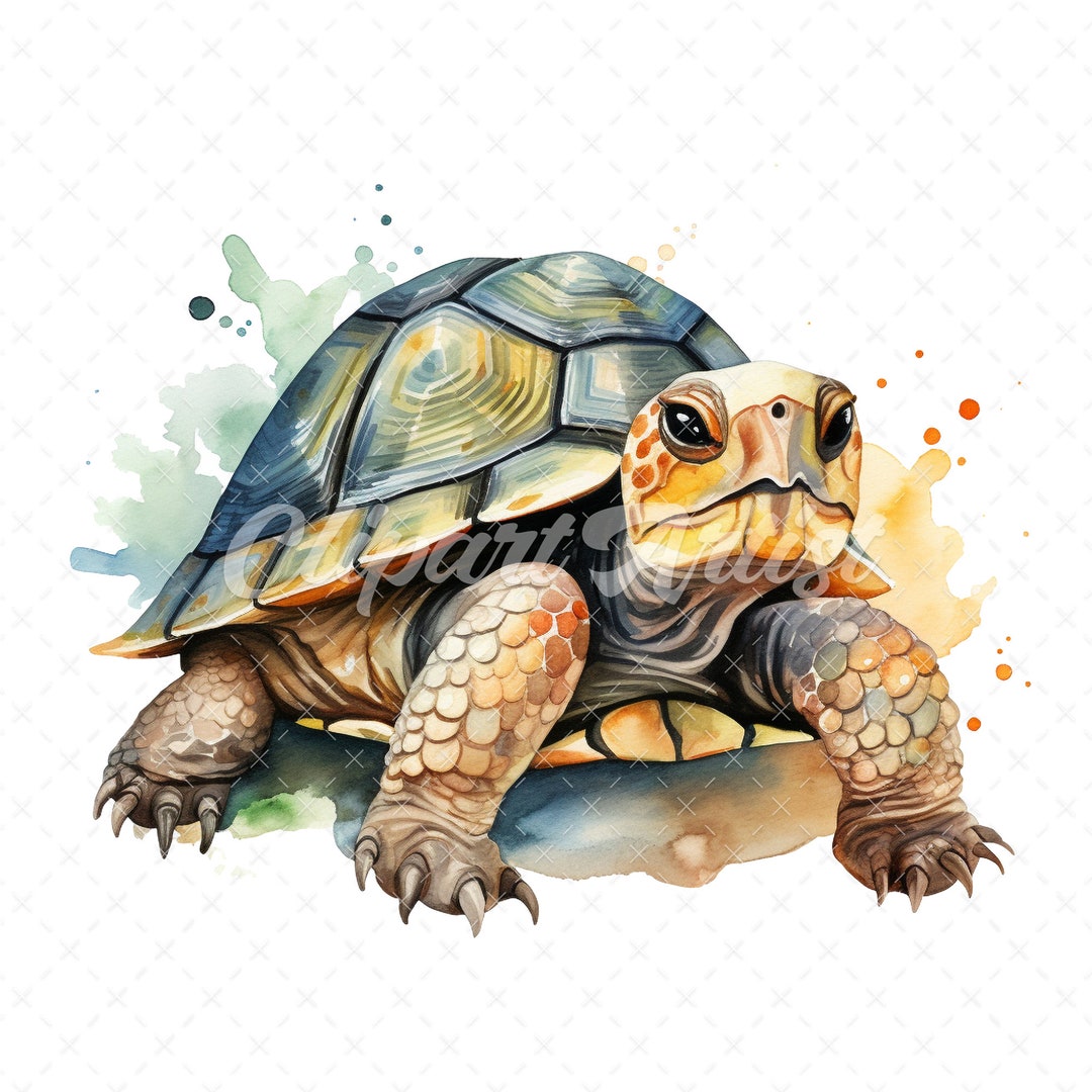 20 High-quality Cute Tortoise Clipart - Cute Tortoise Digital ...