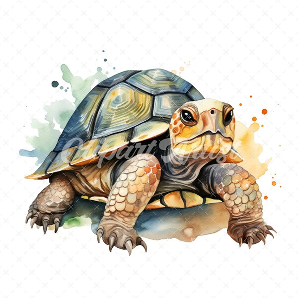 Tortoise Watercolor - Etsy