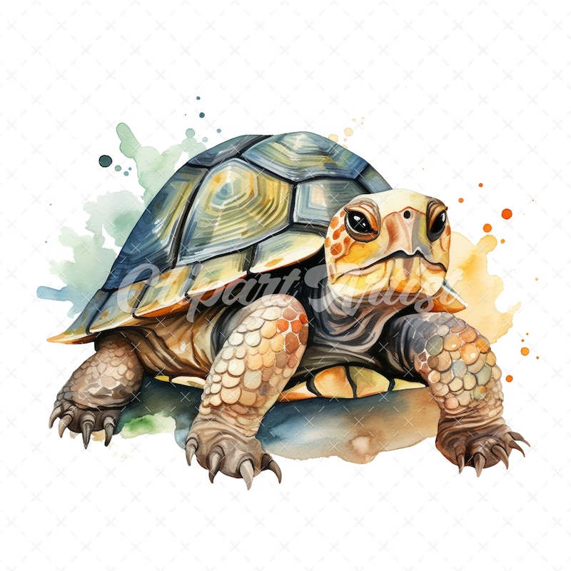 Tortoise Watercolor - Etsy