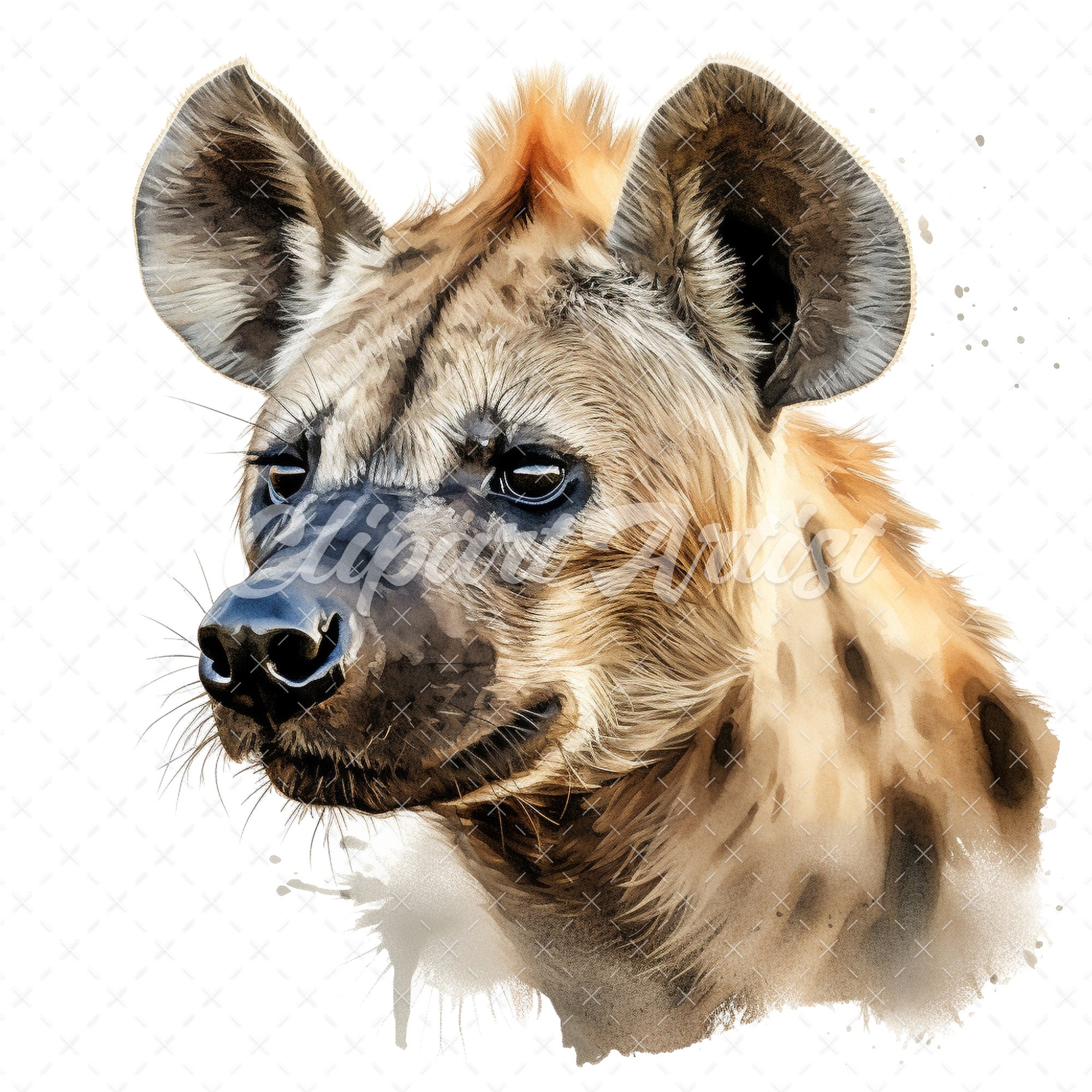 20 High-quality Hyena Clipart Hyena Digital Watercolor JPG Instant ...