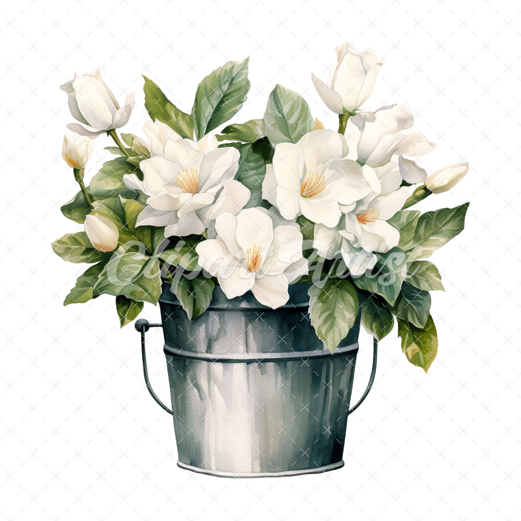 20 High-quality Gardenias Bucket Clipart Gardenias Bucket Digital ...