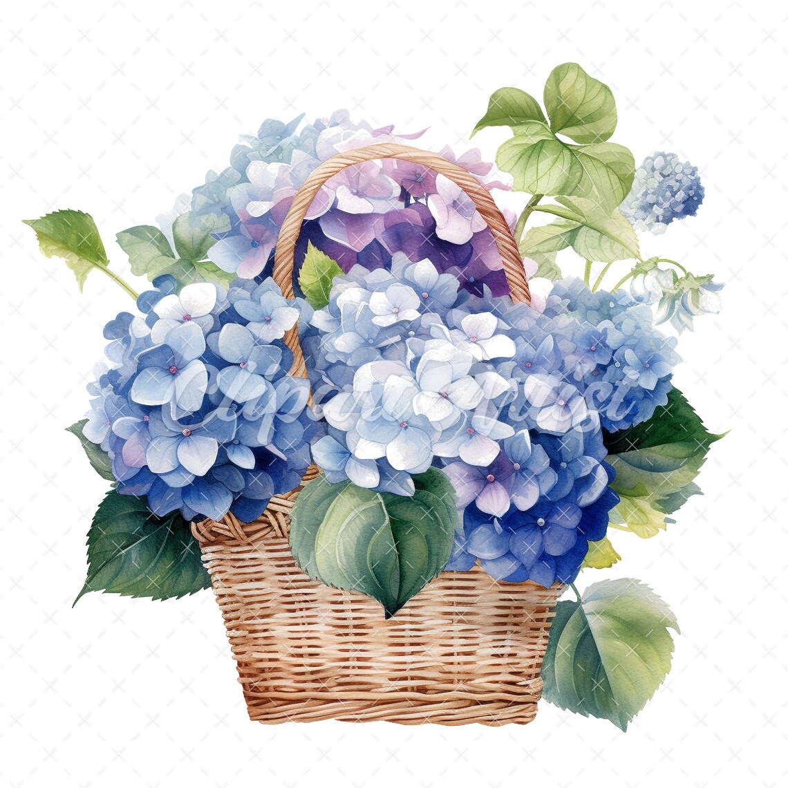 20 High-quality Hydrangea Basket Clipart Hydrangea Basket Digital ...