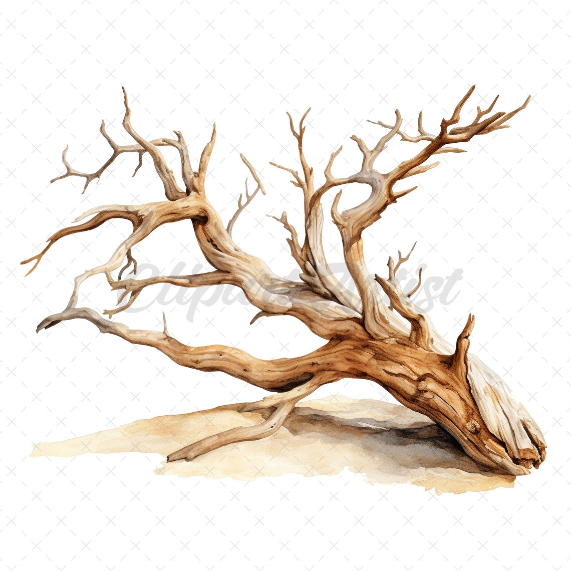 Driftwood Clipart: Watercolor Style, Commercial Use (digital Download ...