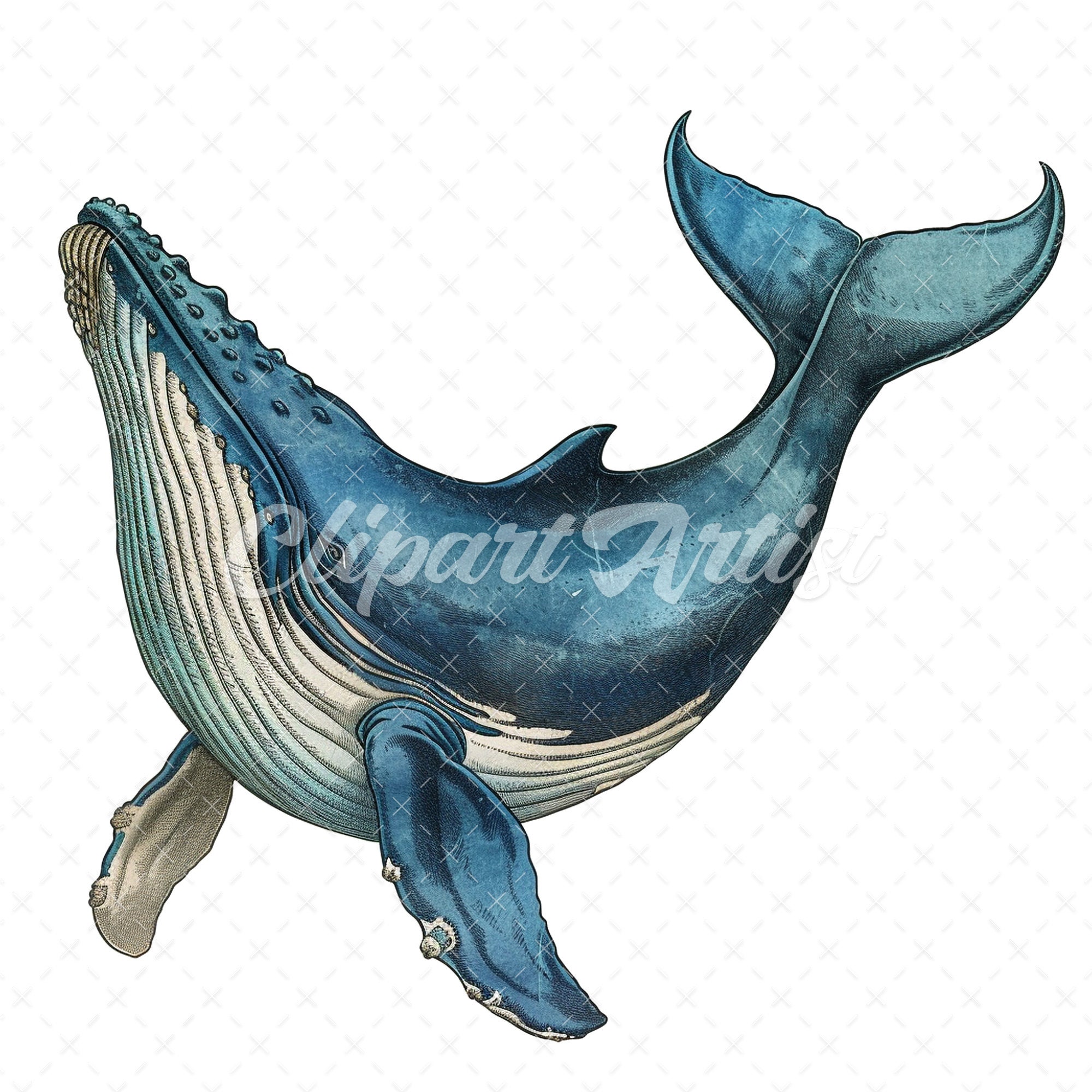 Blue Whale Watercolor Clipart – Commercial Use (digital Download) - Etsy