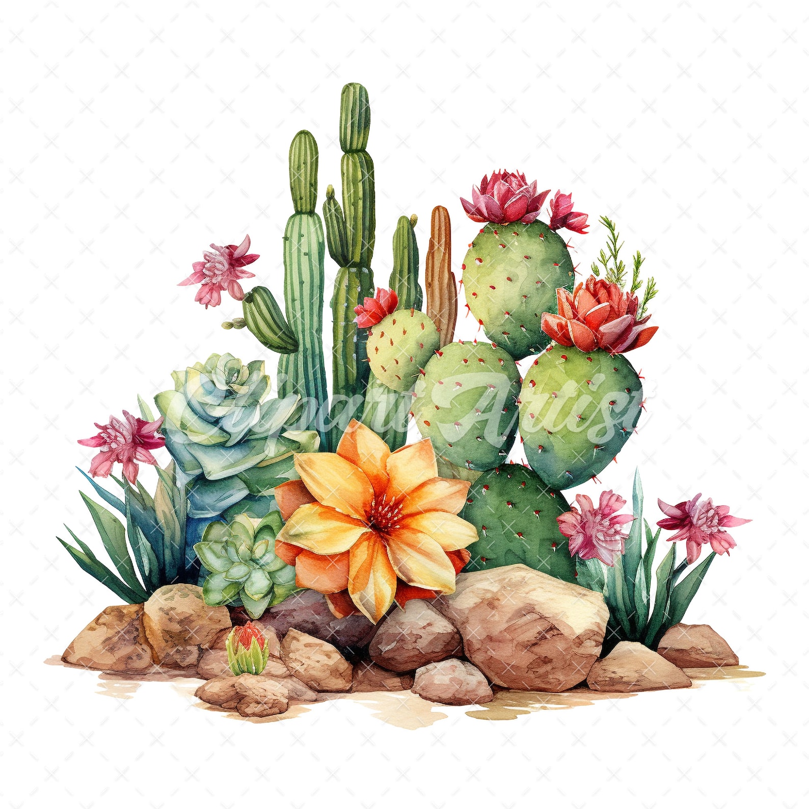 20 High-quality Desert Cacti Clipart Desert Cacti Digital - Etsy